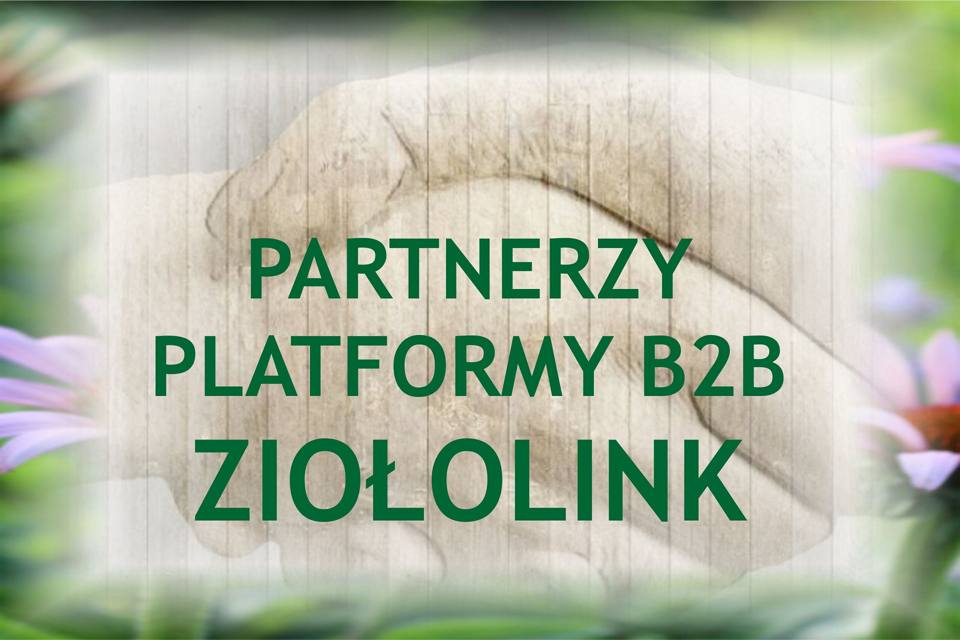 PARTNERZY PLATFORMY B2B ZIOŁOLINK - Platforma SolexB2B
